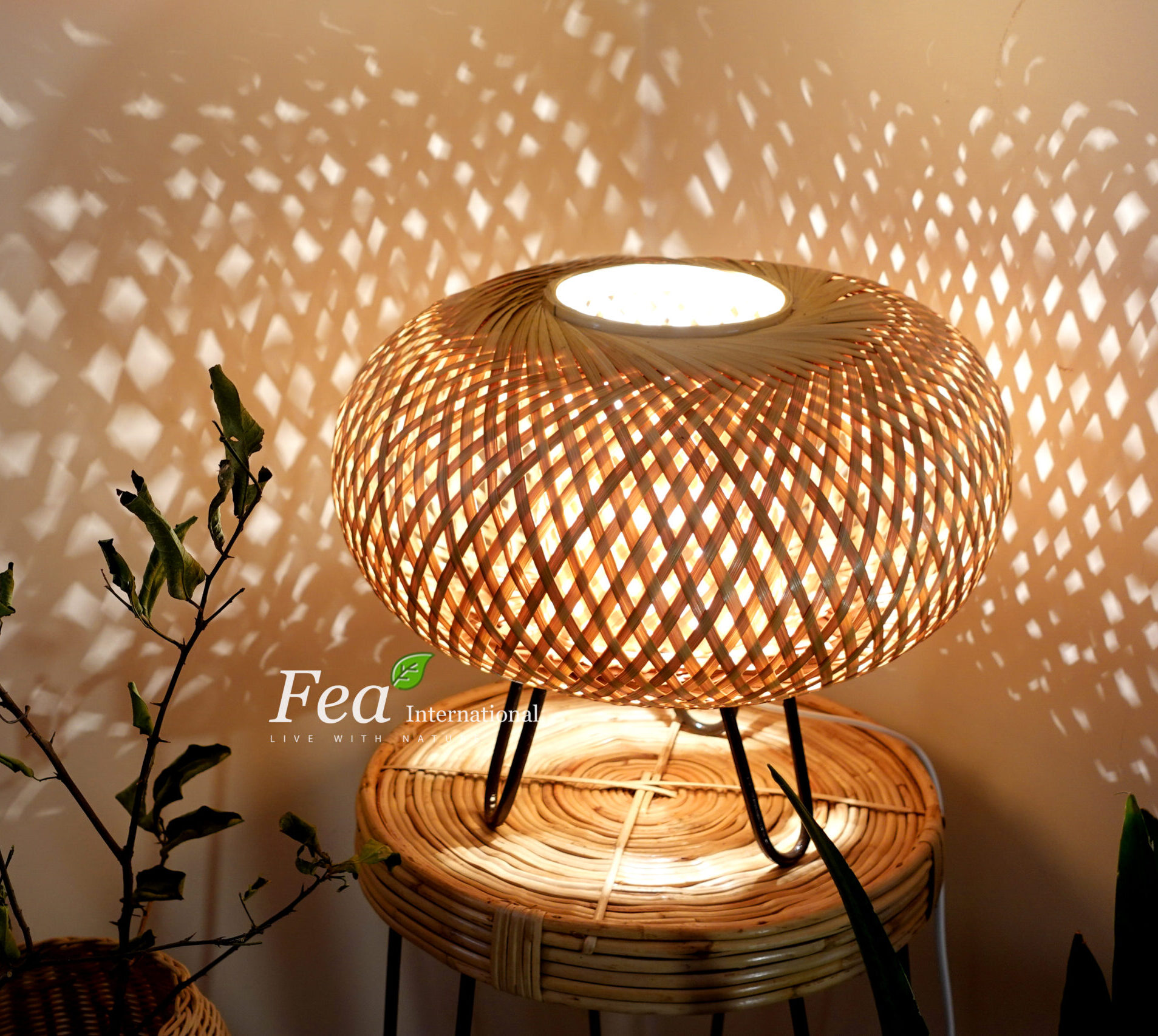 Fea International – Live With Nature